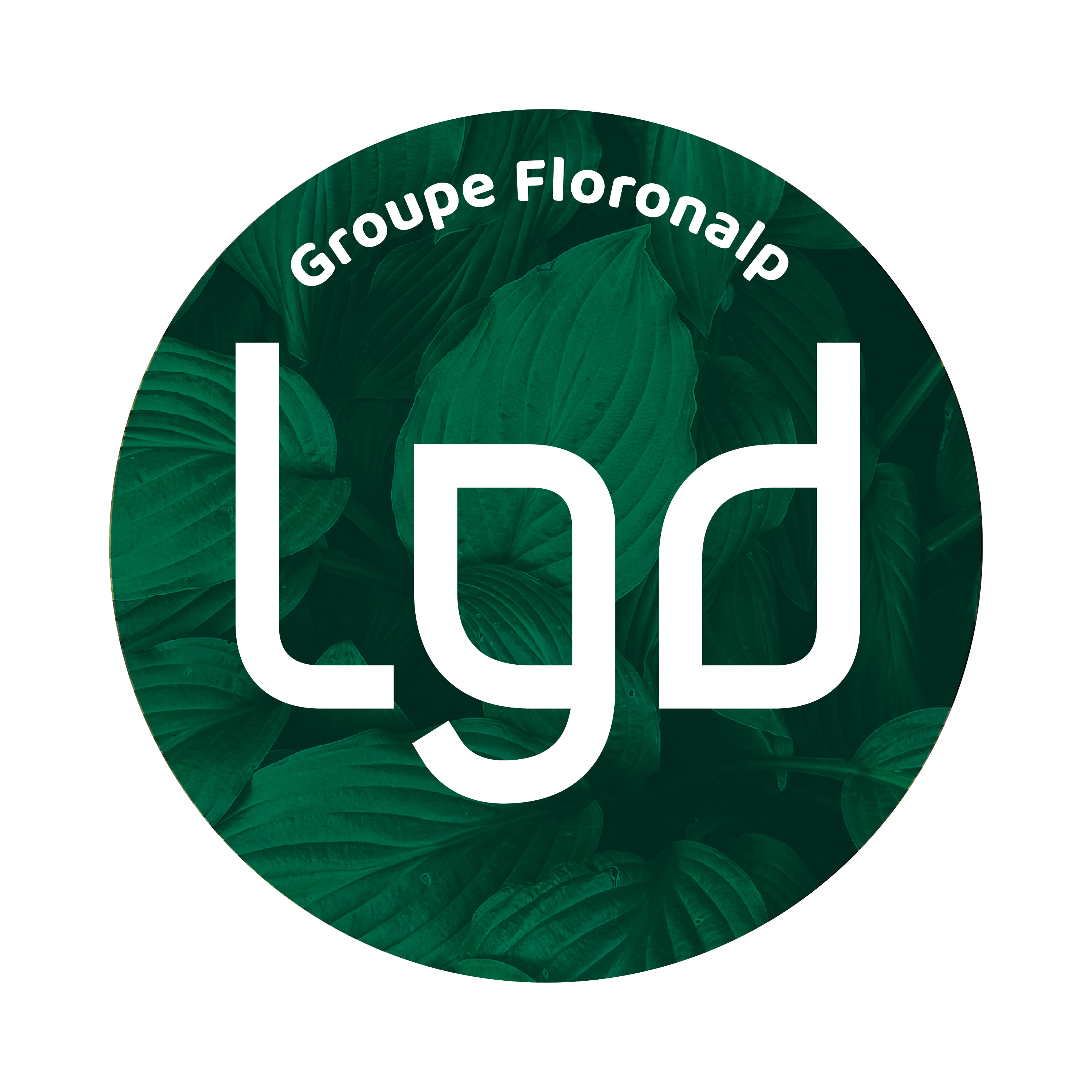 LGD – Shifumi, atelier de création graphique à Lyon
