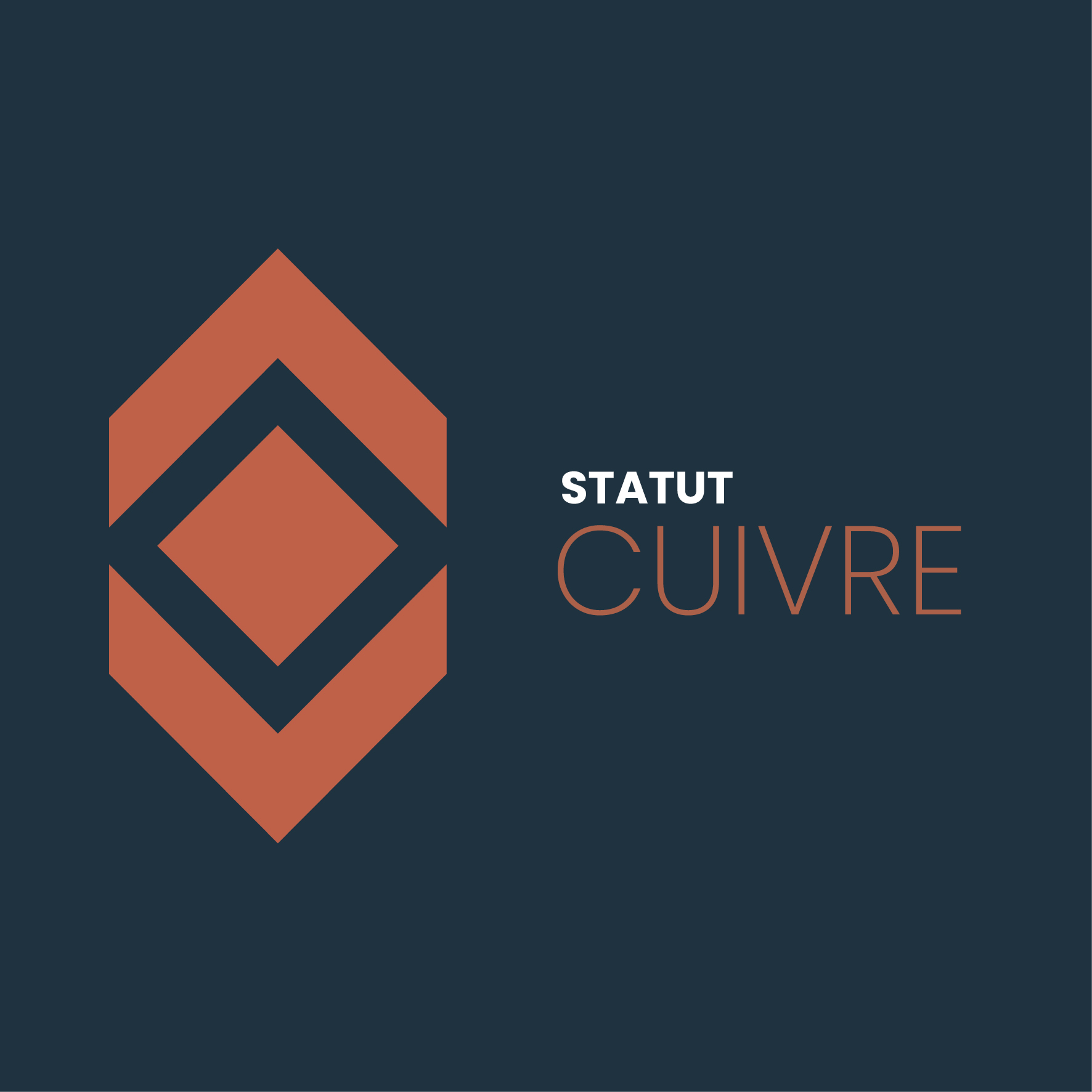 Carré VIP – identité visuelle et charte graphique – Shifumi, atelier de ...